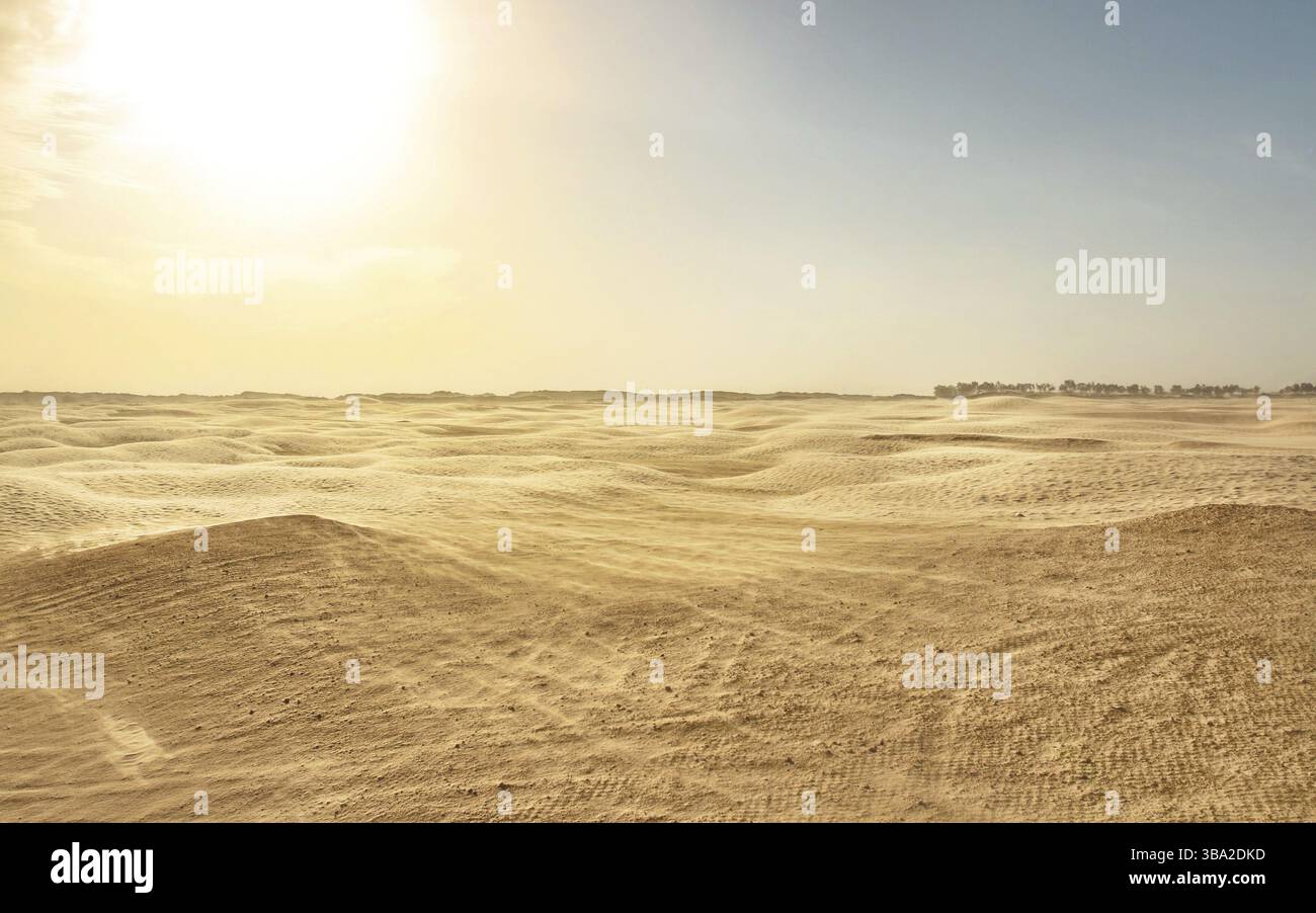 Empty flat sahara desert, wind forming sand dust, with backlight sun in ...
