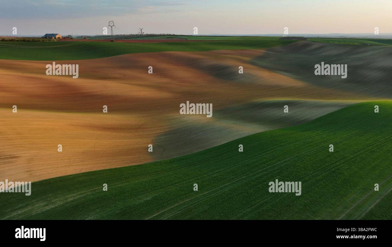 Green wavy hills with agricultural fields Stock Photo - Alamy