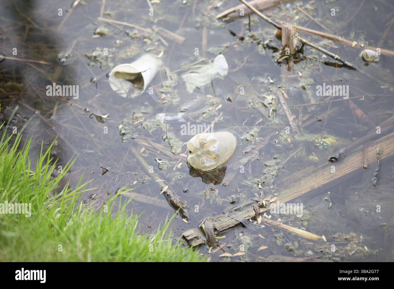 Plastic bottles in the pond. Environmental pollution Stock Photo - Alamy