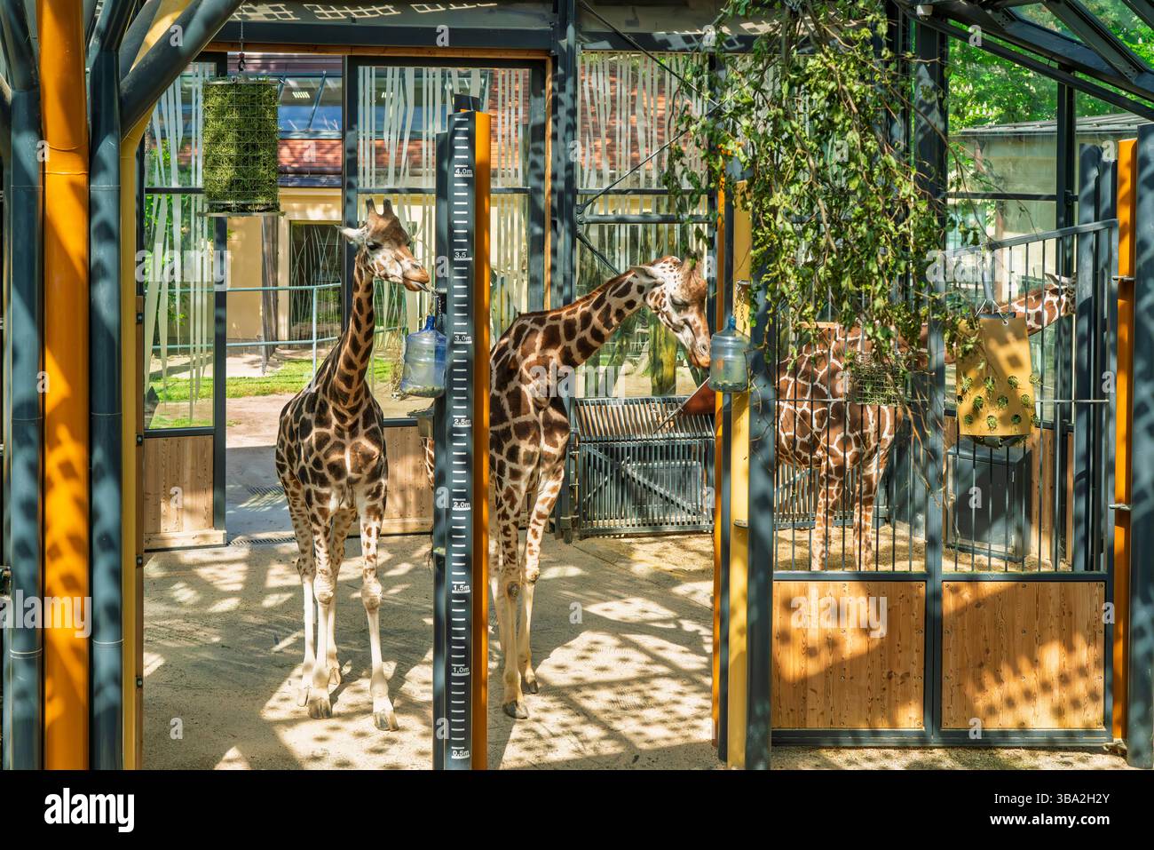 Animals of Schönbrunn Zoo, in Vienna, Austria Wild animals amazing life ...