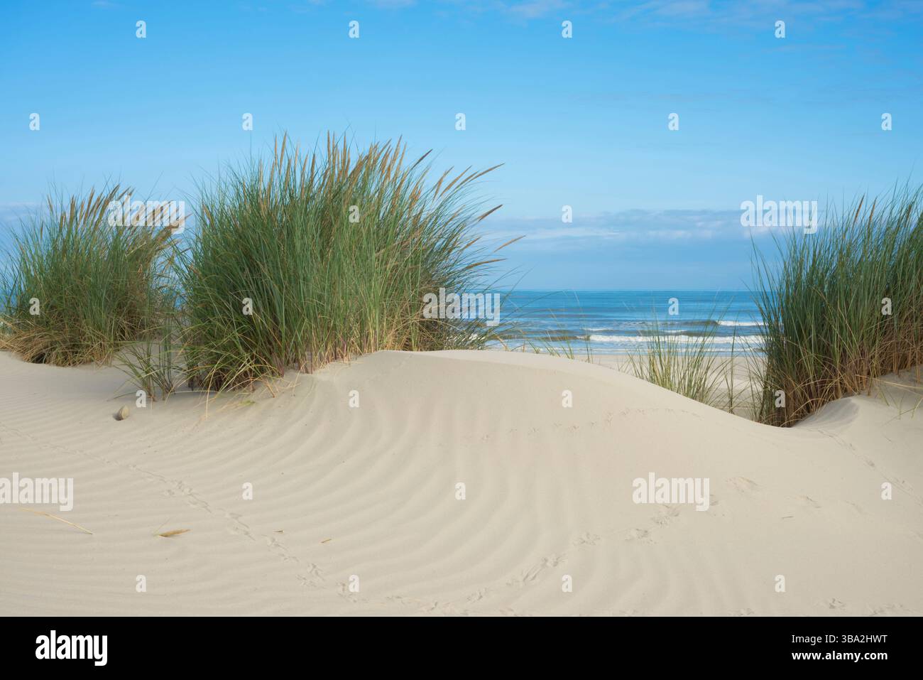 The netherlands dunes hi-res stock photography and images - Alamy