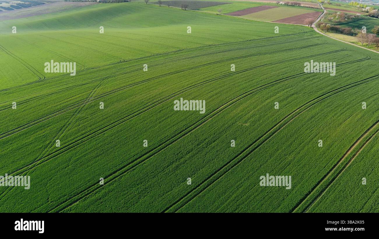 Green wavy hills with agricultural fields Stock Photo - Alamy