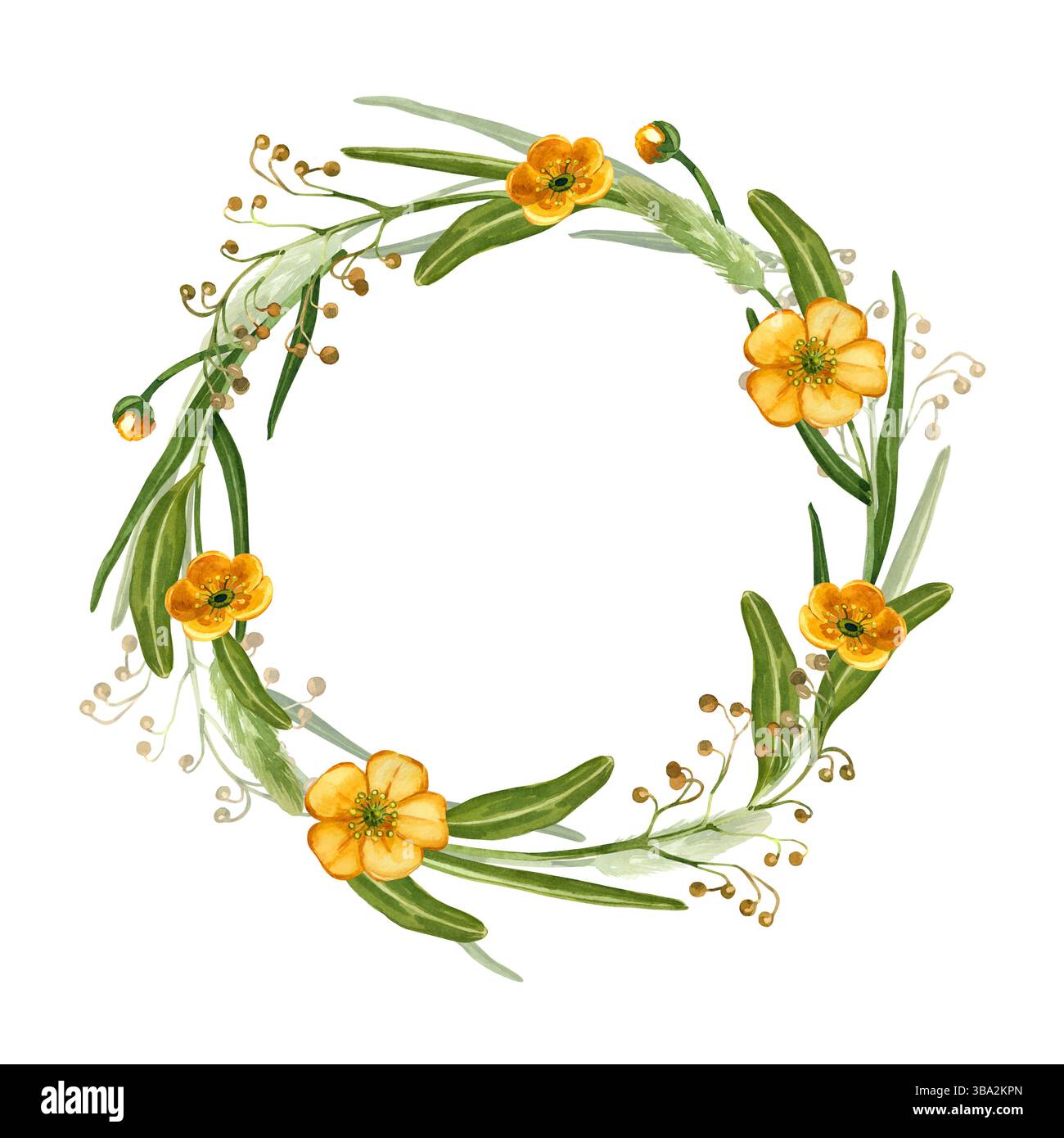Wreath of wild flowers, yellow buttercups, timothy grass, leaves and ...