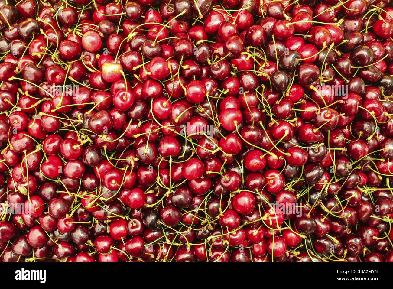 Top view on many red cherry displayed at food market, Kyrenia, Cyprus ...