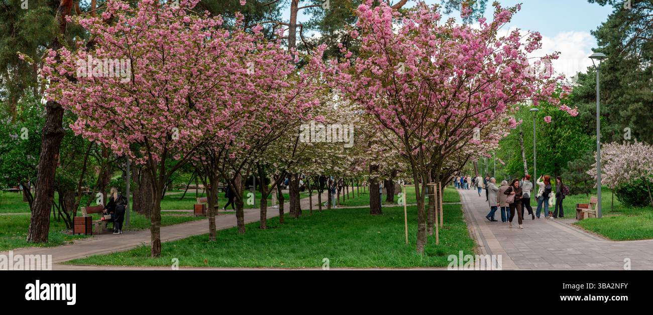 Kyiv, Ukraine - 28th April, 2025: Tourists and locals enjoying a walk ...