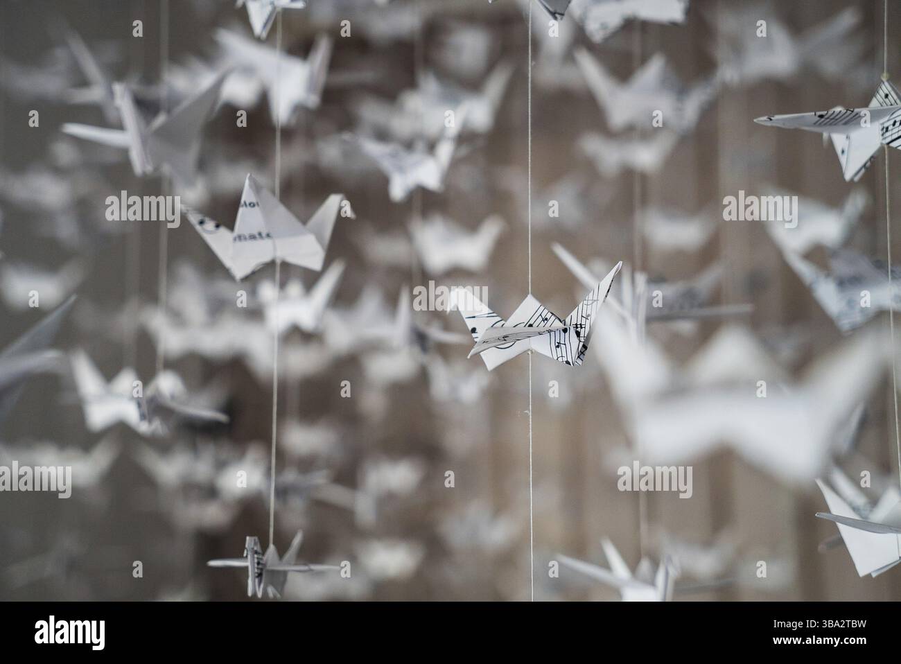 Swarm of origami cranes made of music manuscript paper Stock Photo - Alamy