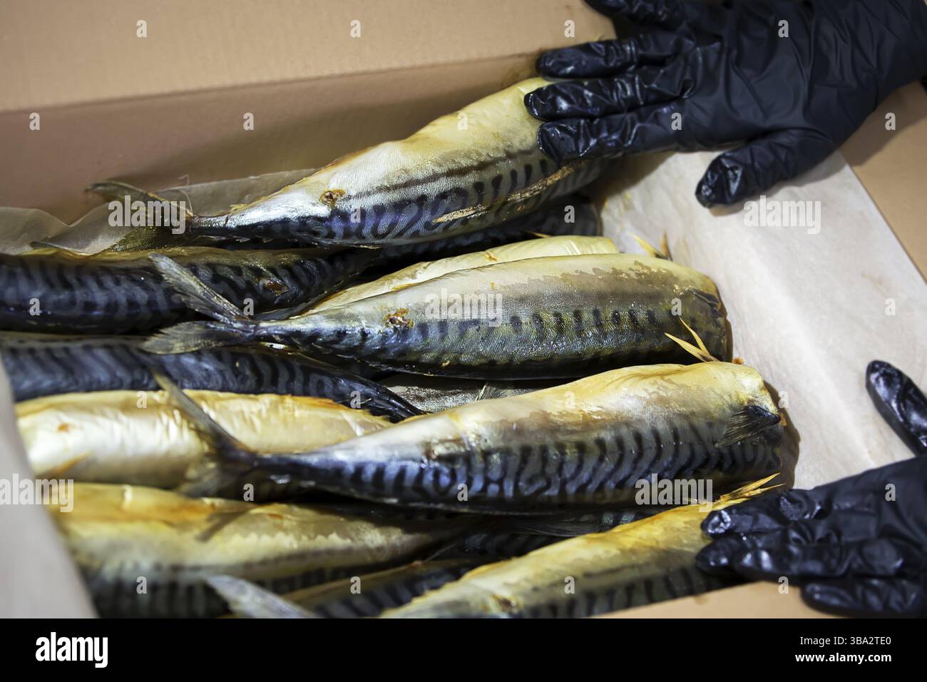Smoked mackerel in a paper box. Fishing industry Stock Photo - Alamy