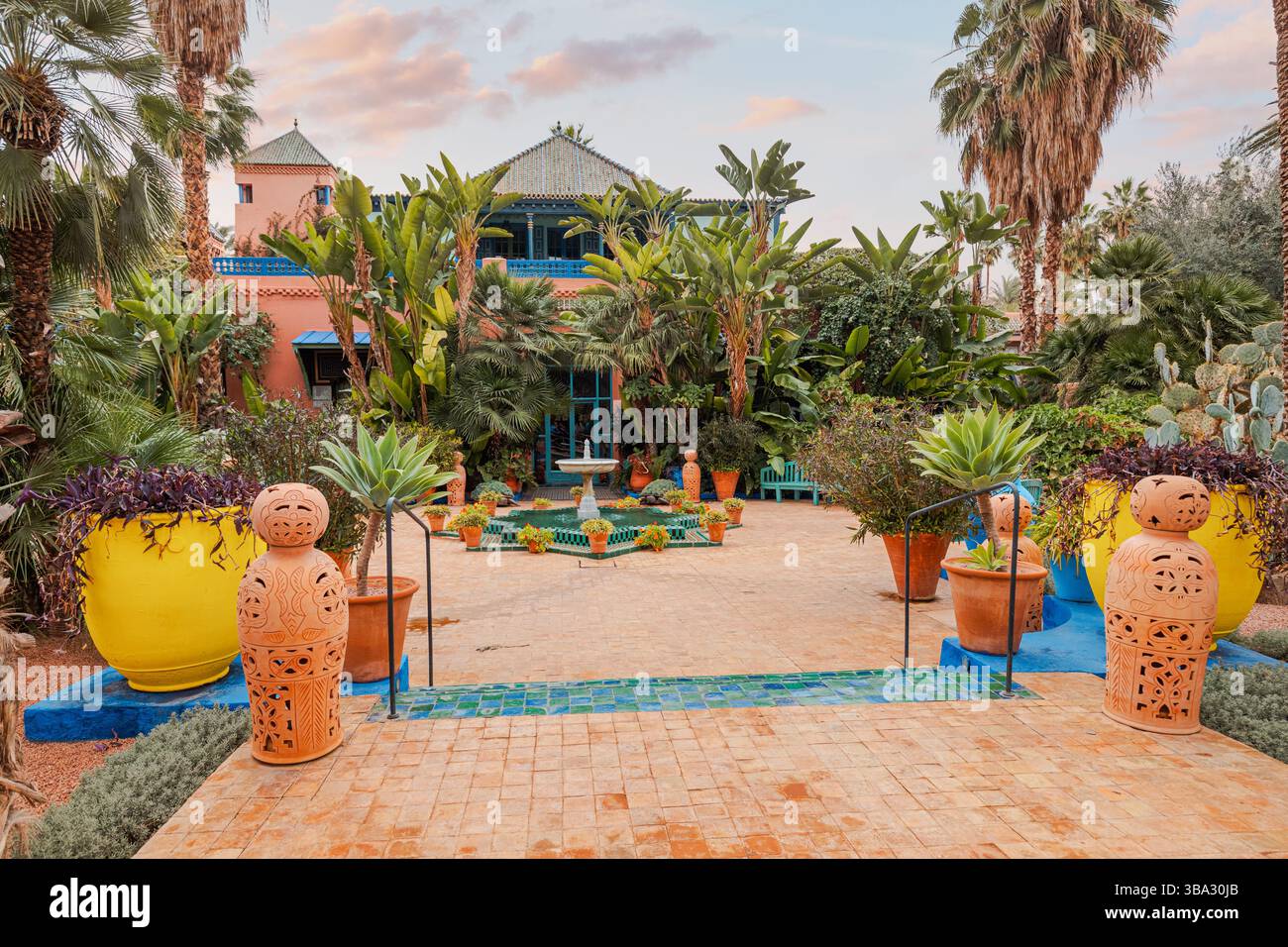 08 March 2025, Marrakech, Morocco: Beautiful Majorelle Garden with ...