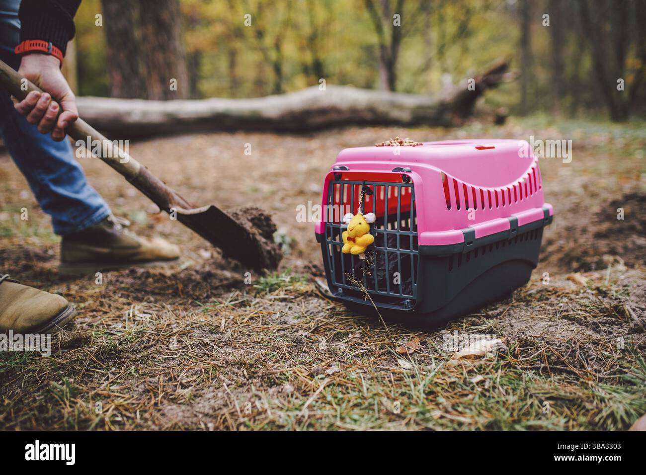 Man digging a grave in pet cemetery. Gravedigger digs pet burial hole ...