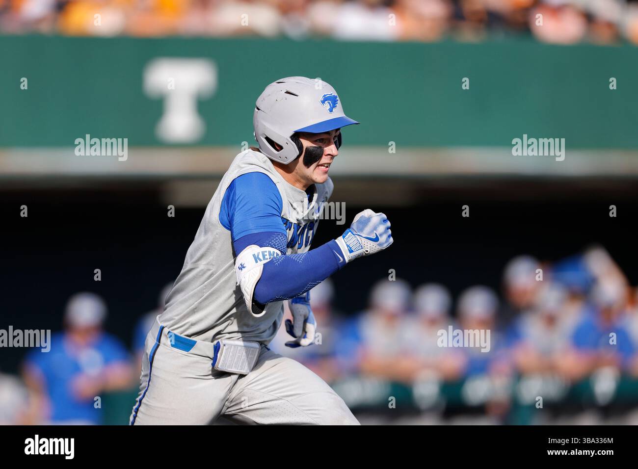 Kentucky Wildcats shortstop Tyler Bell (6) hustles to first base ...