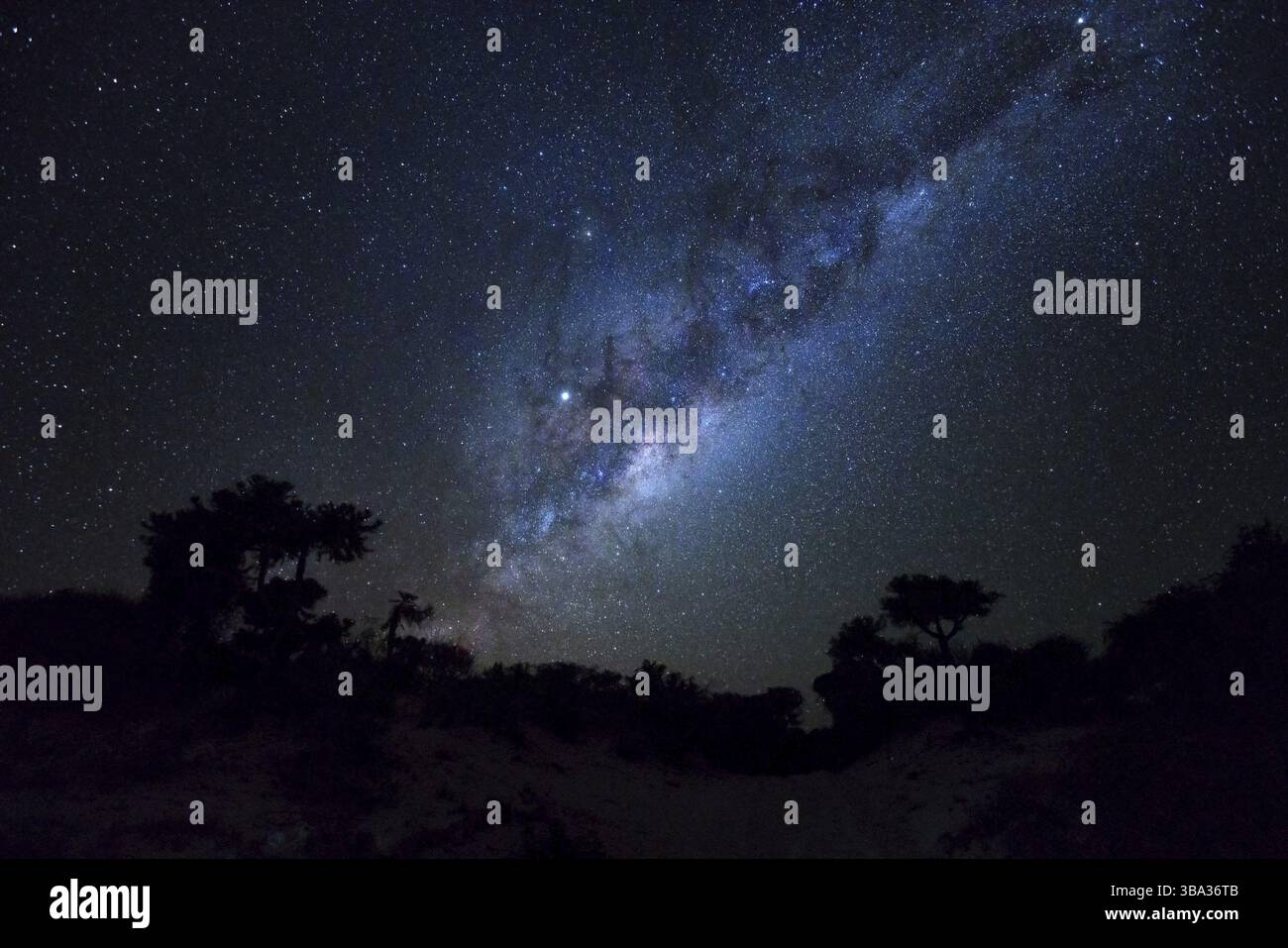 Starry night with Milky Way over palm trees silhouettes as seen from ...
