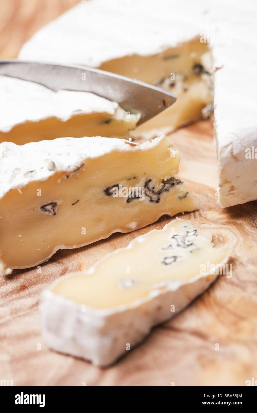 Soft cheese containing veins of blue mold and a firm white skin. Two ...