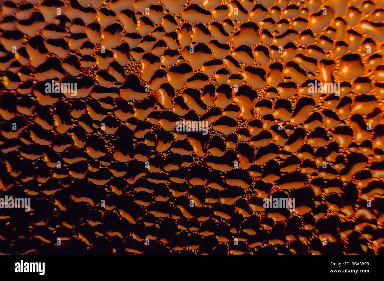 Macro close-up of sunrise orange light shining through shaded water ...