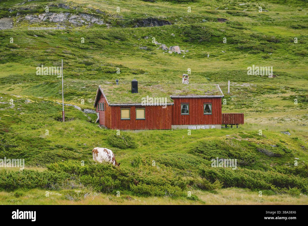 Hut wooden mountain huts in mountain pass Norway. Norwegian landscape ...