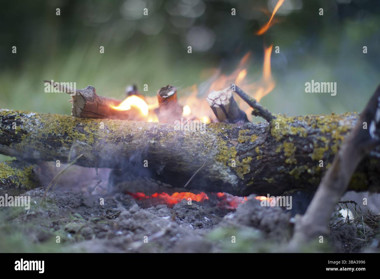 The fire. Log wood on fire Stock Photo - Alamy
