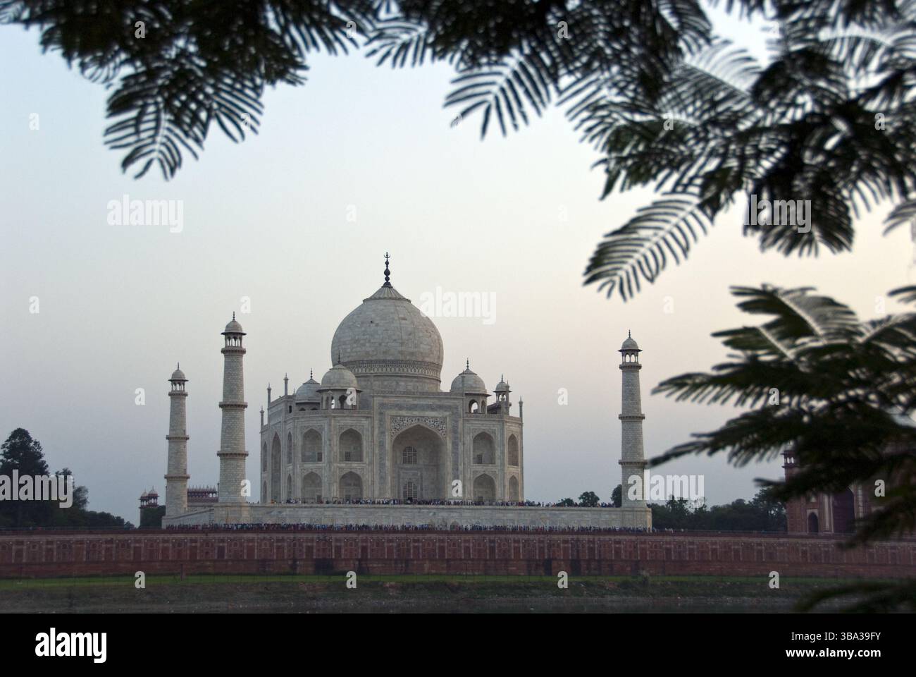 The Taj Mahal in Agra, India, as seen from the Mehtab Bagh, a riverside ...