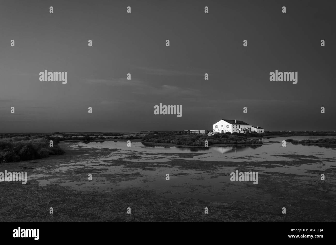 Monochrome research station photograph hi-res stock photography and ...