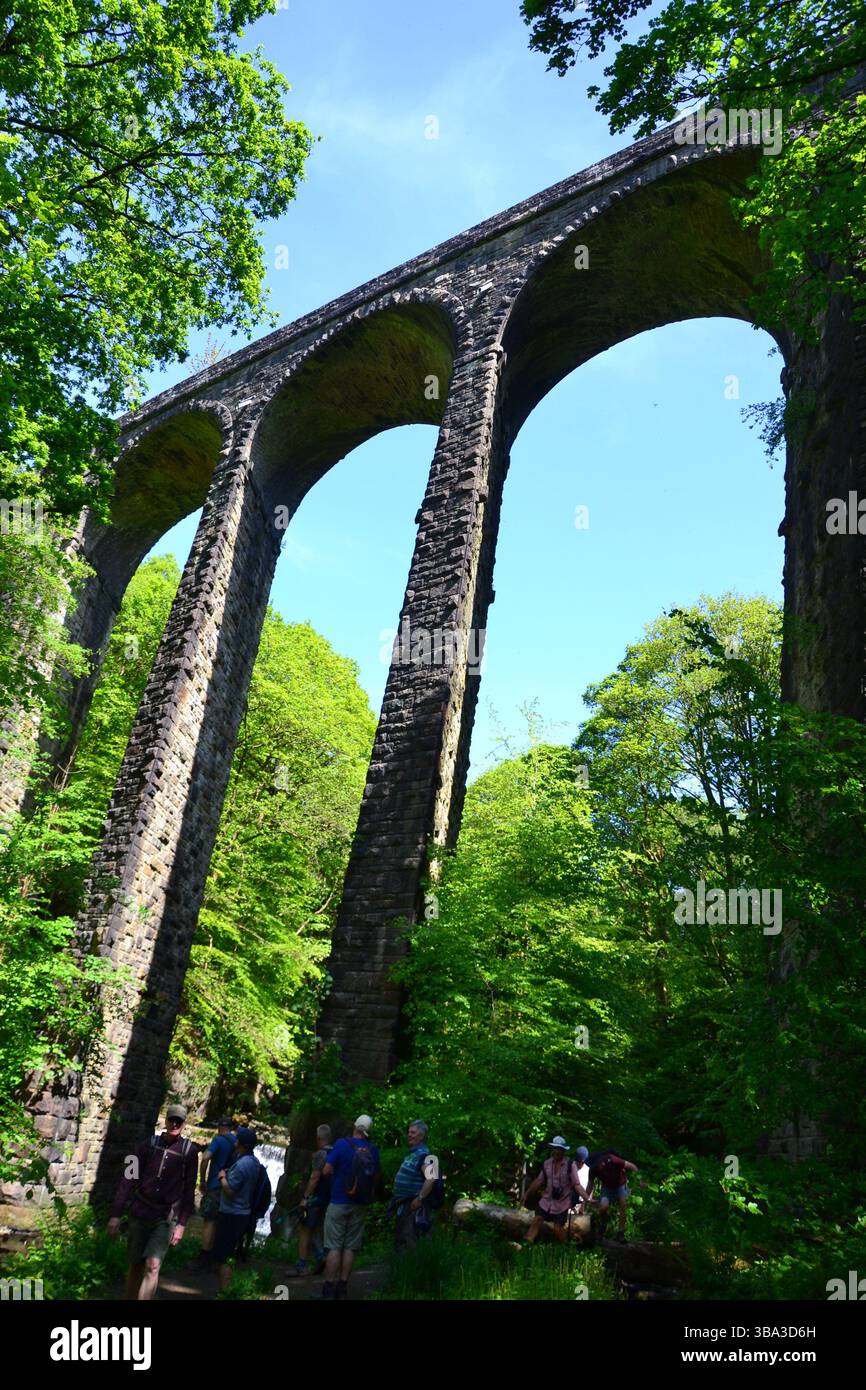 Whitworth, UK, 11th May, 2025. A group of walkers under the Healey Dell ...