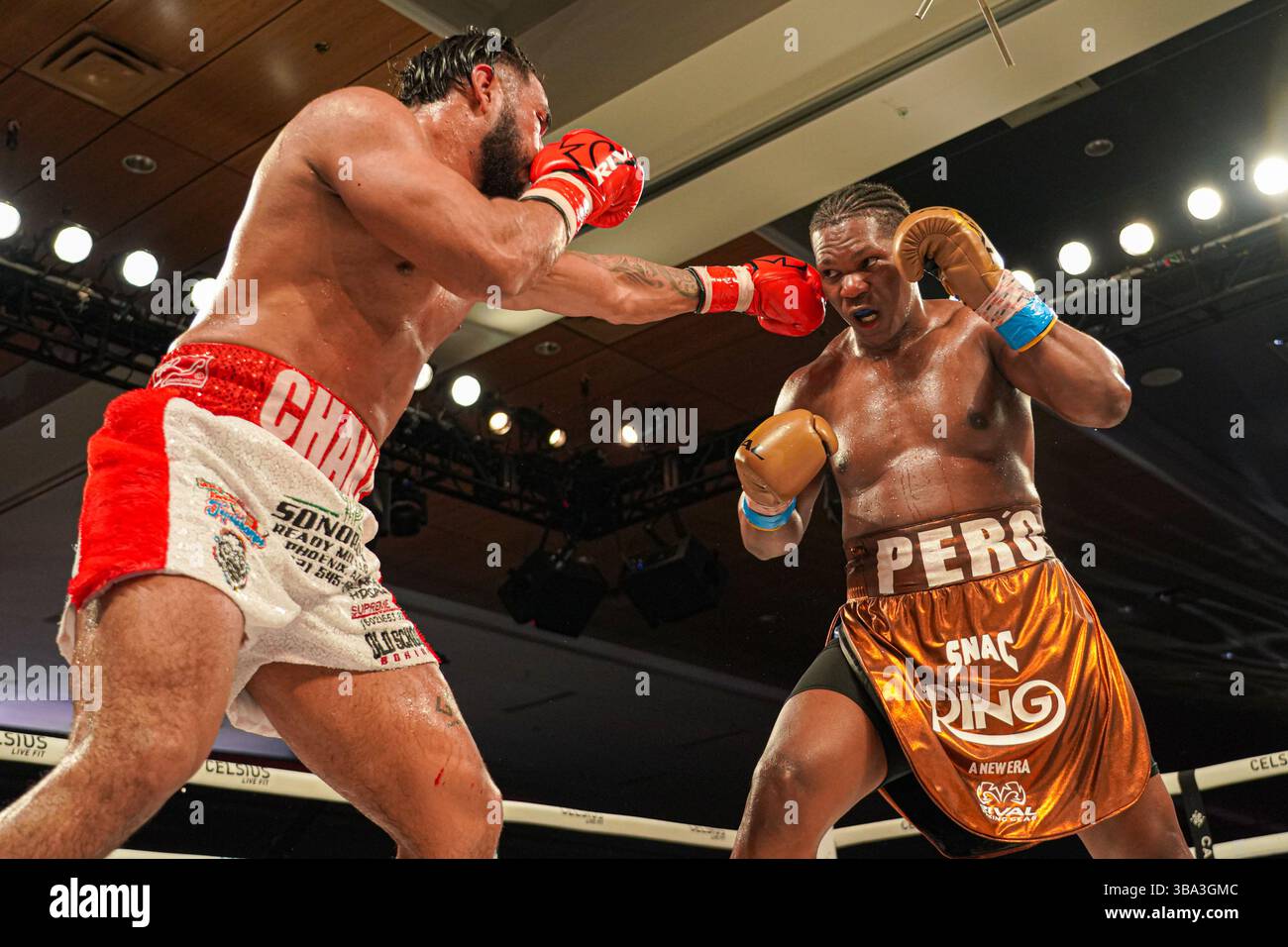 Orlando, Florida, USA, May 9, 2025, Danier Pero faces Cesar Navarro at ...