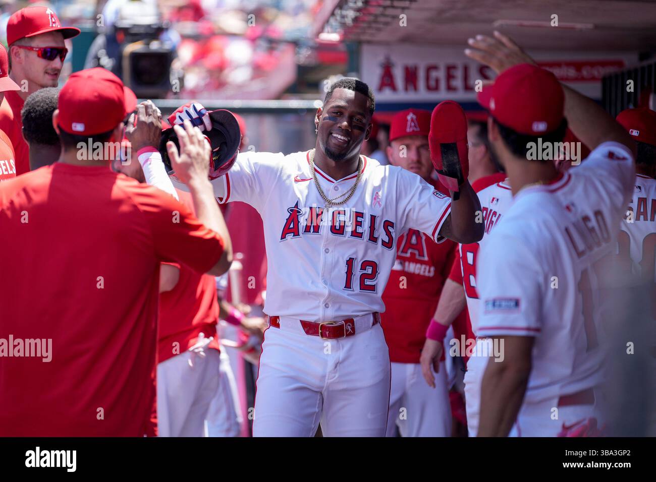 Los Angeles Angels' Jorge Soler (12) high fives teammates after scoring ...