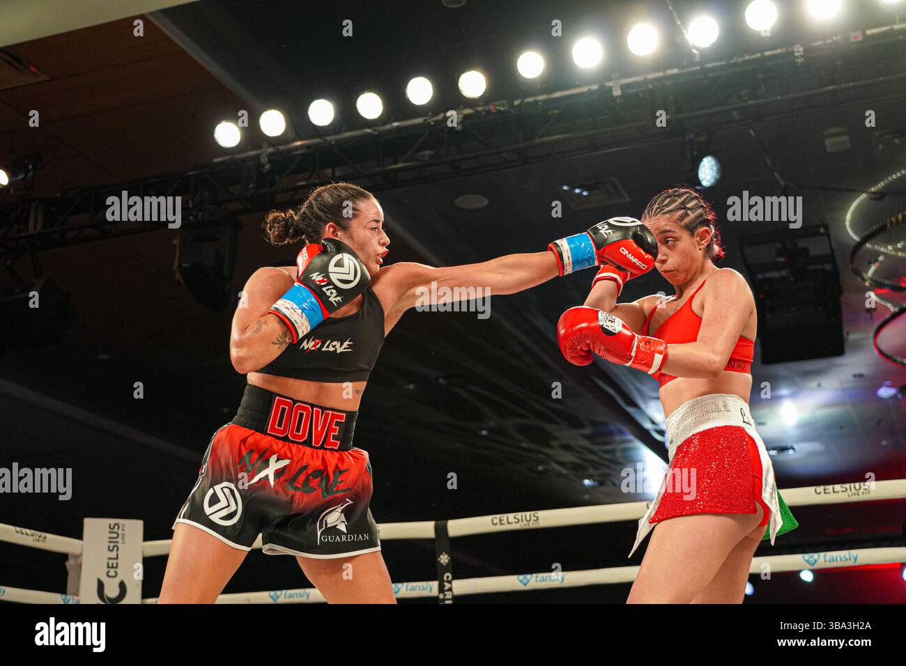 Orlando, Florida, USA, May 9, 2025, Nat "No Love" Dove faces Nayeli ...