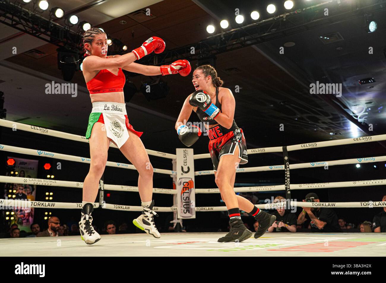 Orlando, Florida, USA, May 9, 2025, Nat "No Love" Dove faces Nayeli ...