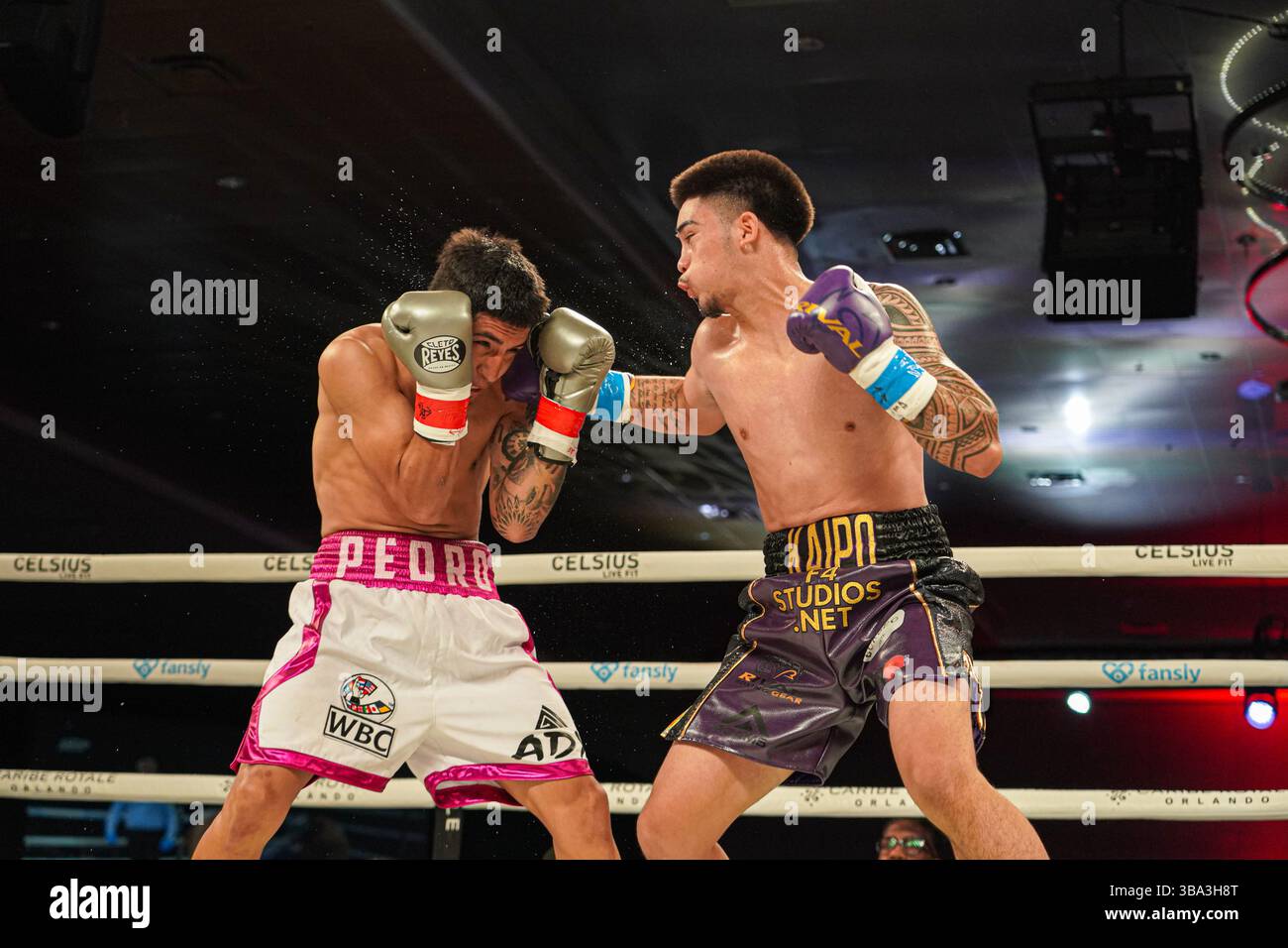 Orlando, Florida, USA, May 9, 2025, Kaipo Gallegos faces Pedro ...