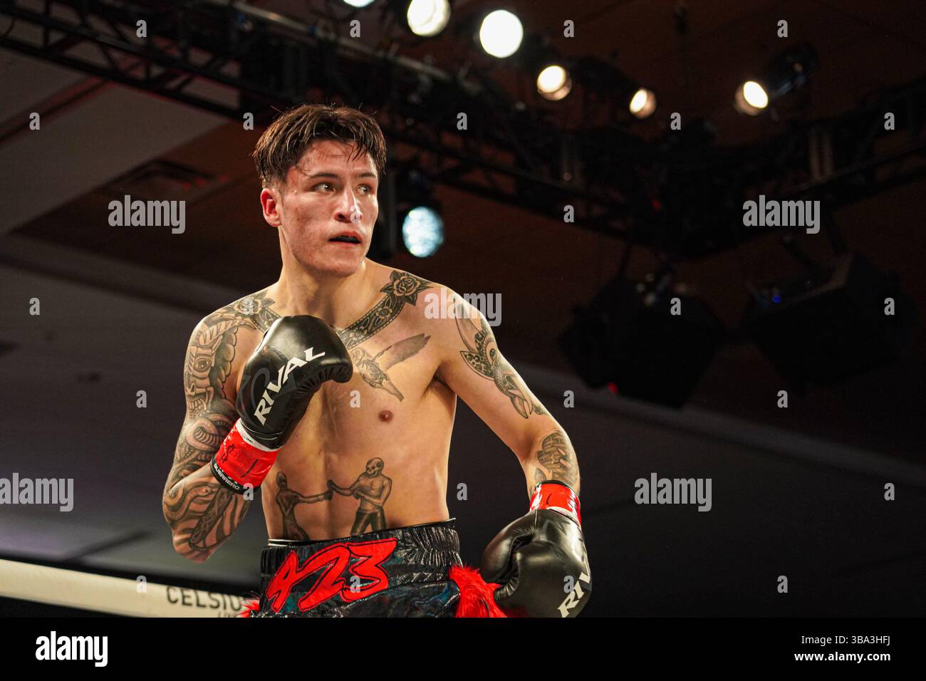 Orlando, Florida, USA, May 9, 2025, Corey Marksman faces Taden Beltran at the Royal Caribe Hotel ...