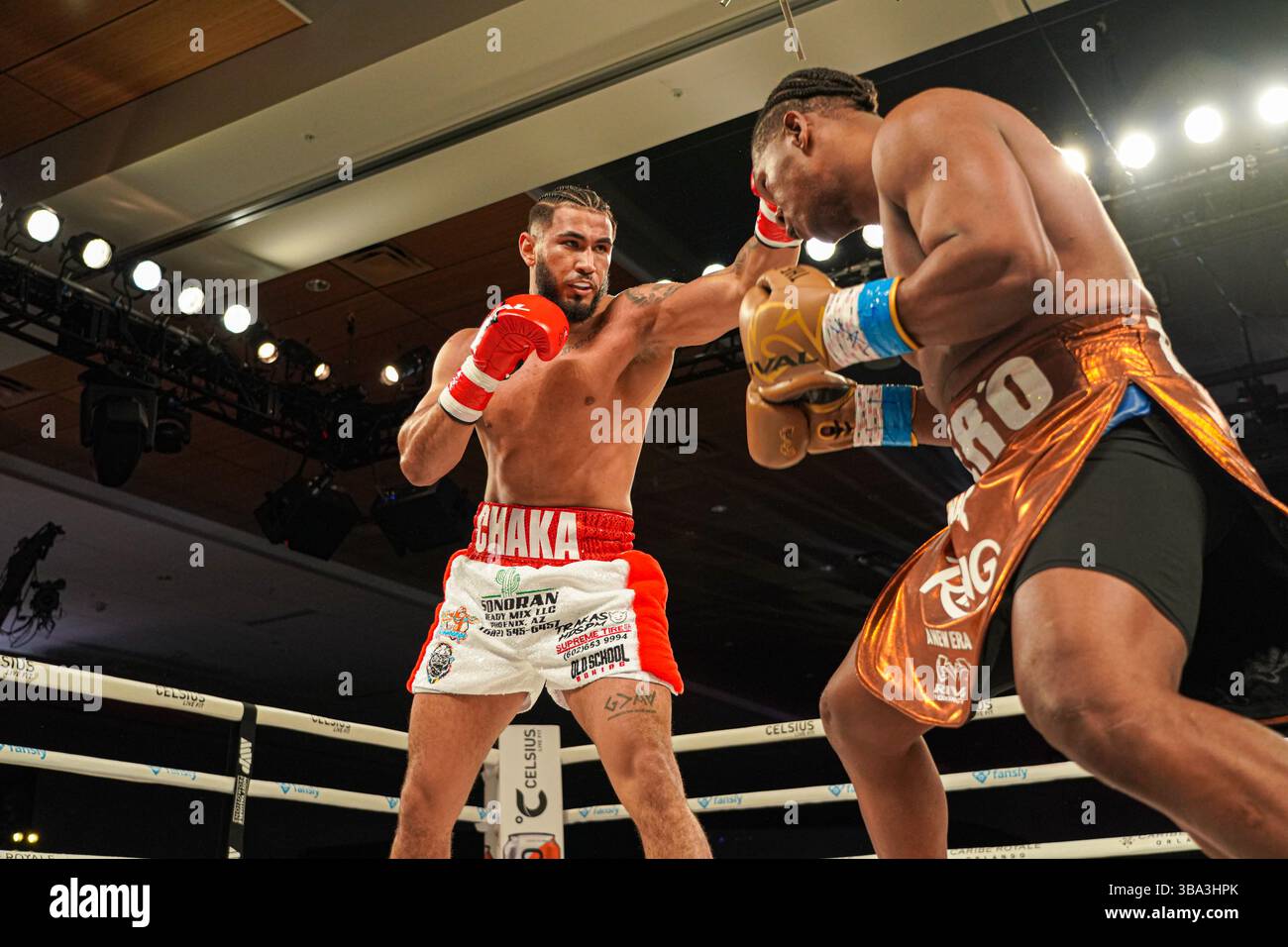 Orlando, Florida, USA, May 9, 2025, Danier Pero faces Cesar Navarro at the Royal Caribe Hotel ...