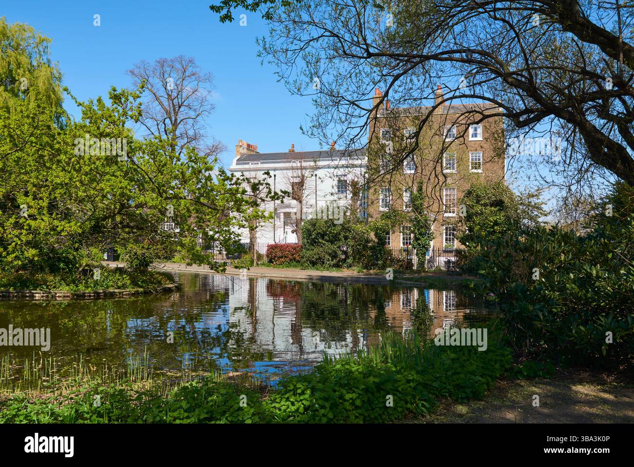Clapton pond park hi-res stock photography and images - Alamy