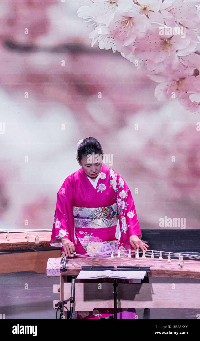 New York, NY - May 9, 2025: Masayo Ishigure on koto performs on stage ...