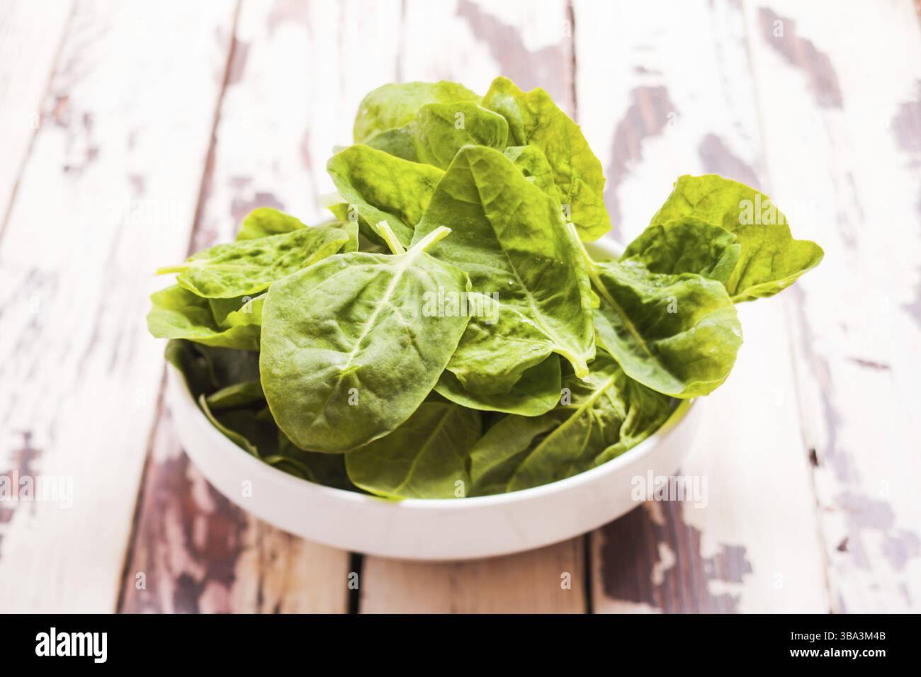 Small spinach plants hi-res stock photography and images - Alamy