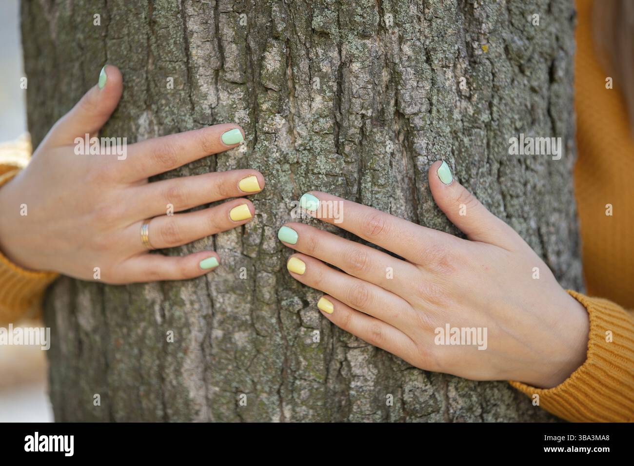The woman's hands hug the bark of a tree Stock Photo - Alamy