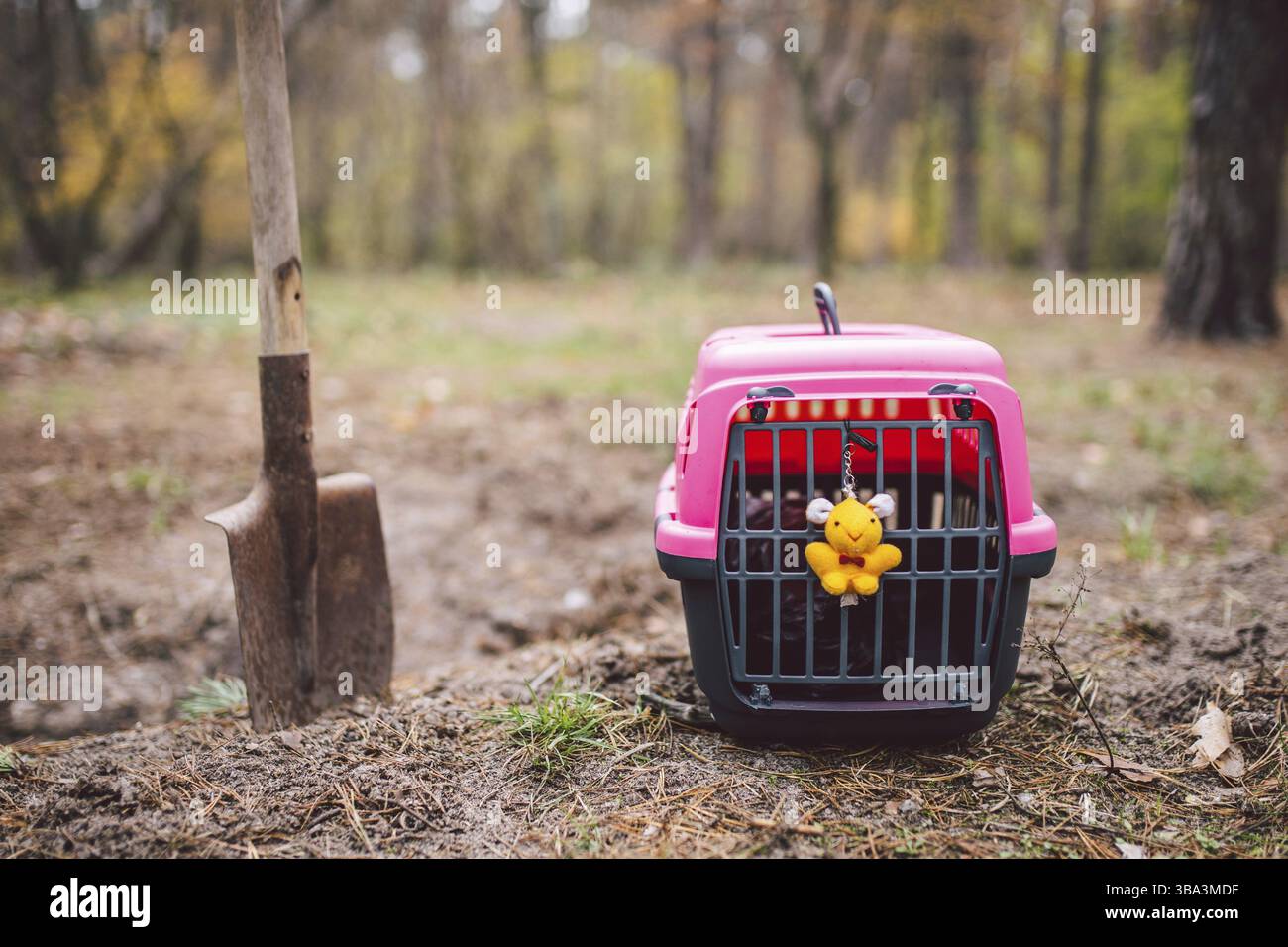 Death pet theme, burial of animal in grave in cementery abstract plot ...