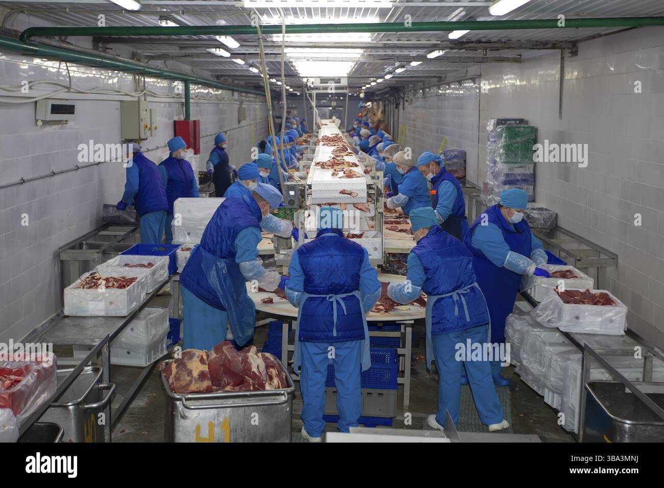 Belarus, Gomilsky district, 13 11 2020. Meat production. workers behind ...