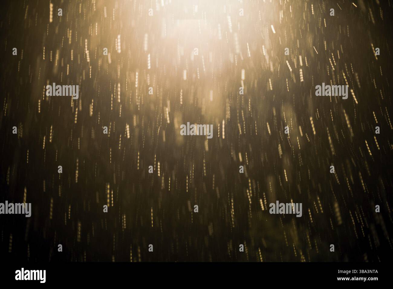 Falling snow and light in the night, use for winter background Stock ...