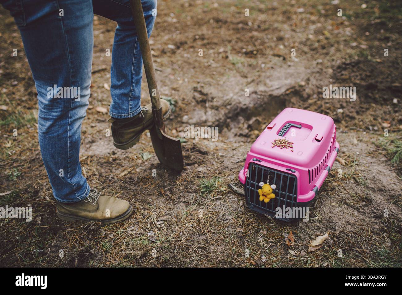 Man digging a grave in pet cemetery. Gravedigger digs pet burial hole ...
