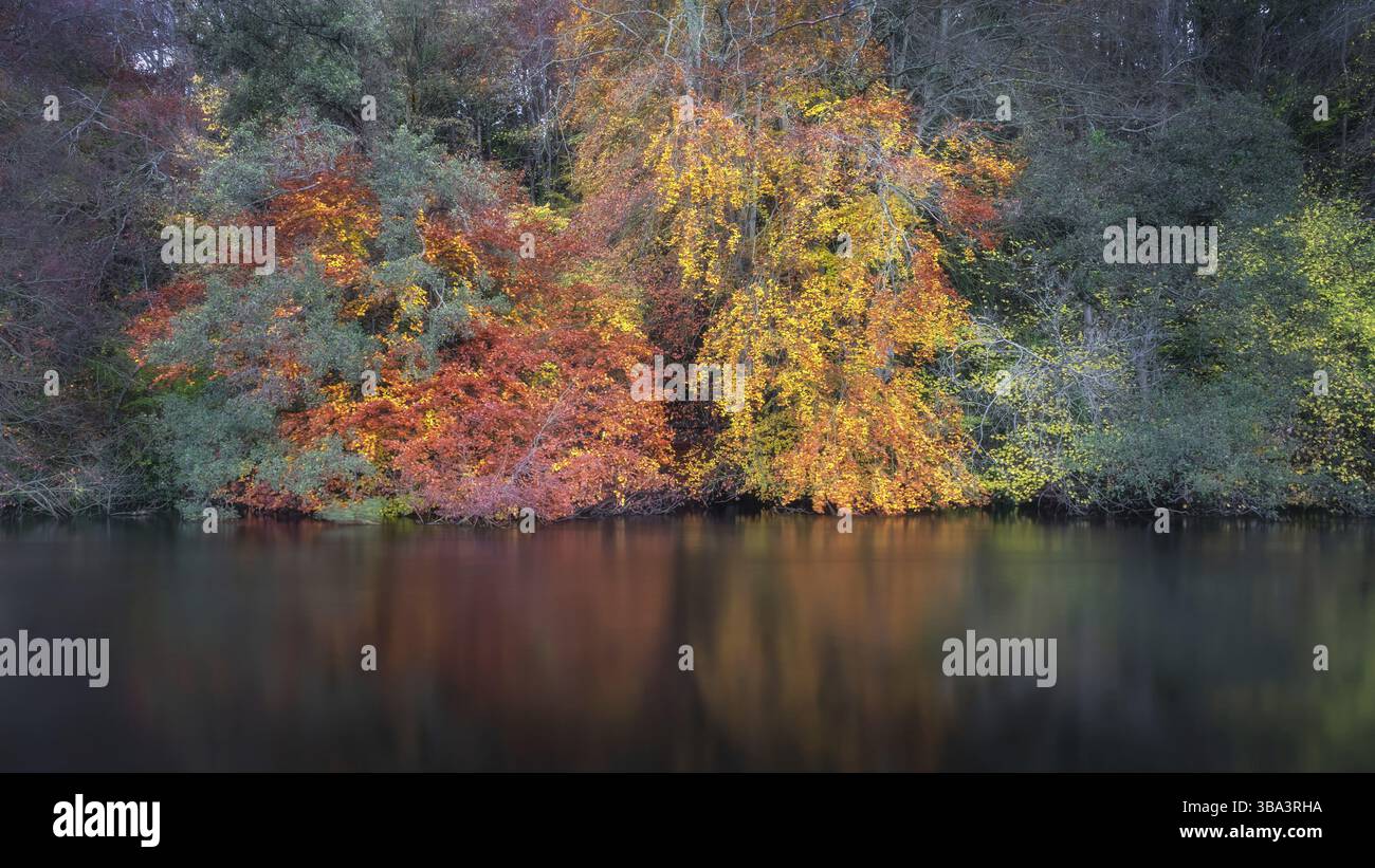 Autumn trees ireland hi-res stock photography and images - Alamy