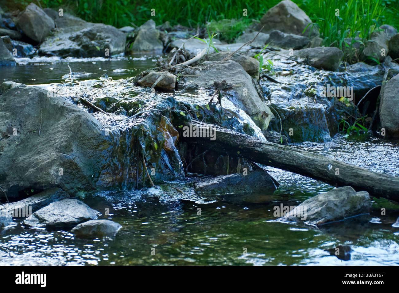 Clear stream trickling through mossy rocks and wood Stock Photo - Alamy