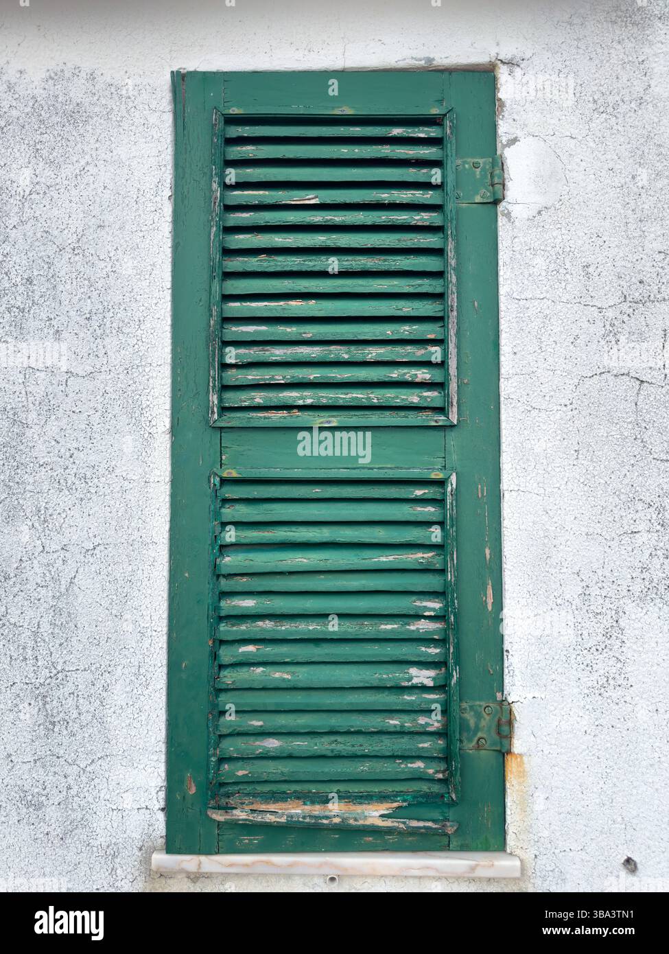 Weathered green wooden shutter on a textured white wall a rustic ...