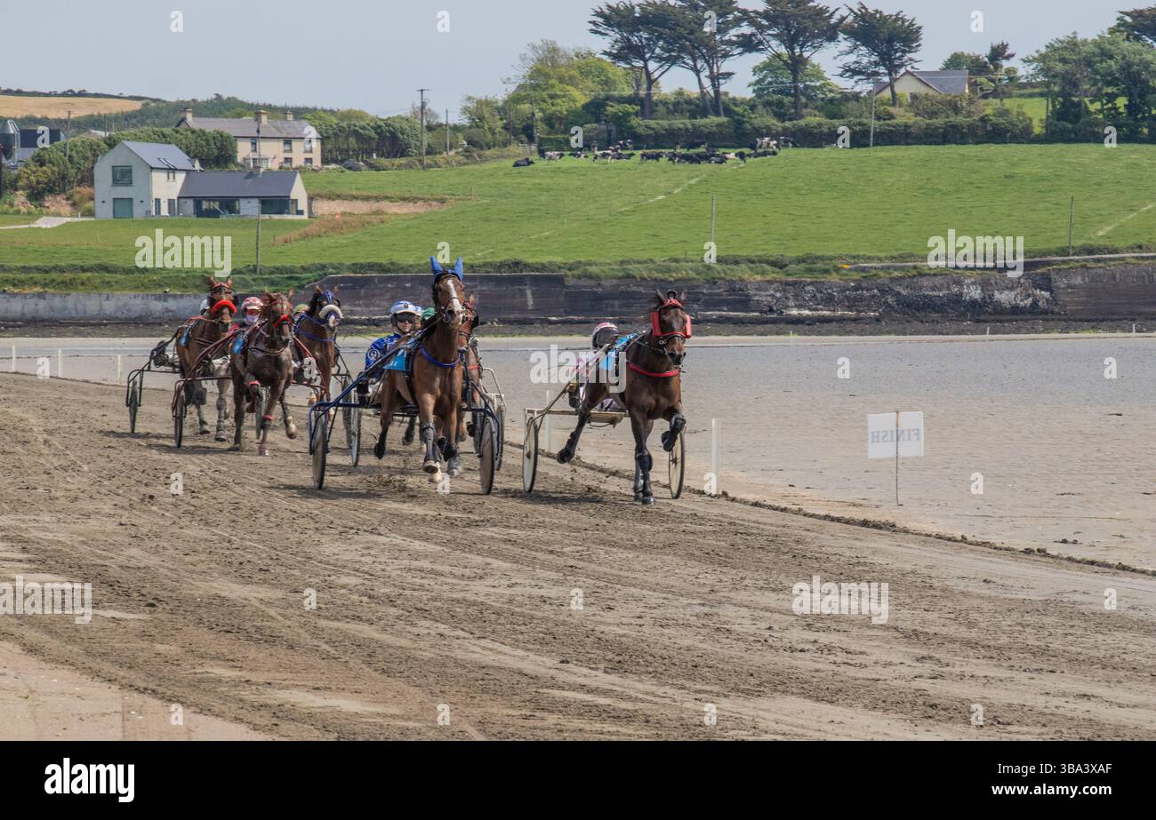 Harbour View Beach, Kilbrittain, strand races, May 2025 Stock Photo - Alamy