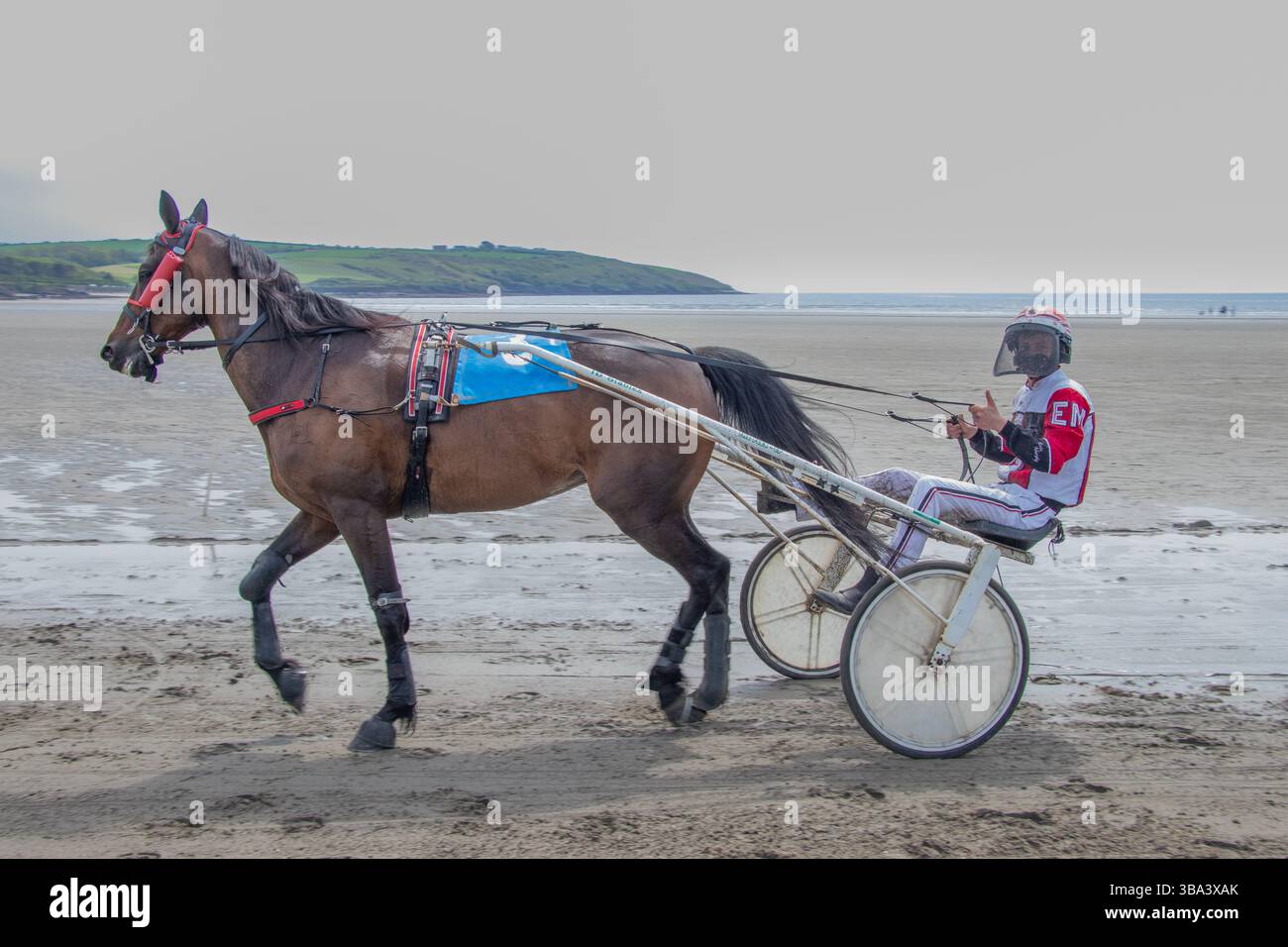 Harbour View Beach, Kilbrittain, strand races, May 2025 Stock Photo - Alamy