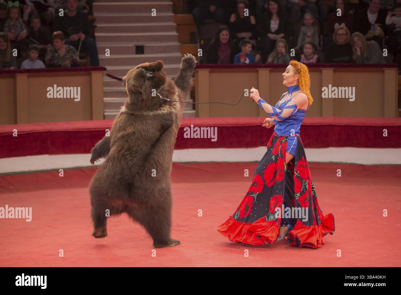 Belarus, Gomil, February 16, 2019. State Circus. Program Bravo ...