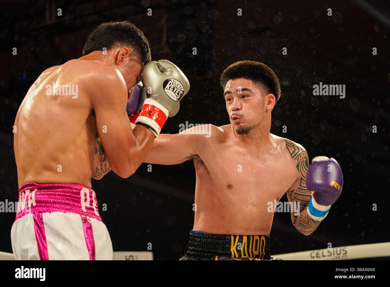 Orlando, Florida, USA, May 9, 2025, Kaipo Gallegos faces Pedro ...