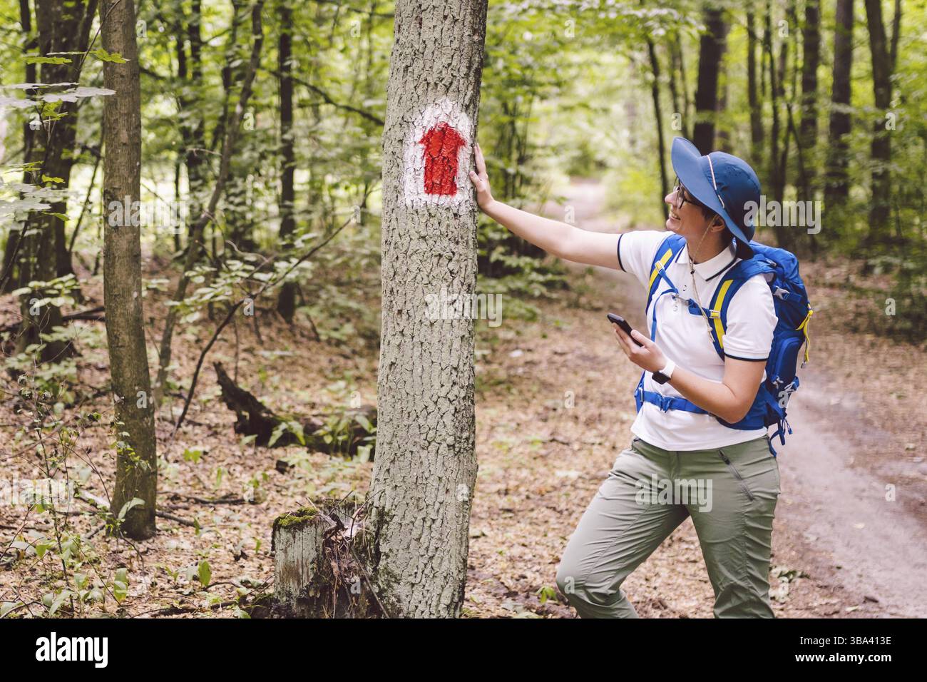 Hiking marked trail in the forest. Marking the tourist route painted on ...
