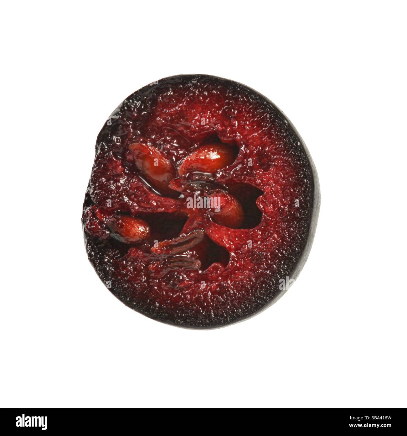 Single aronia (chokeberry) fruit cut in half, red pulp and seeds ...