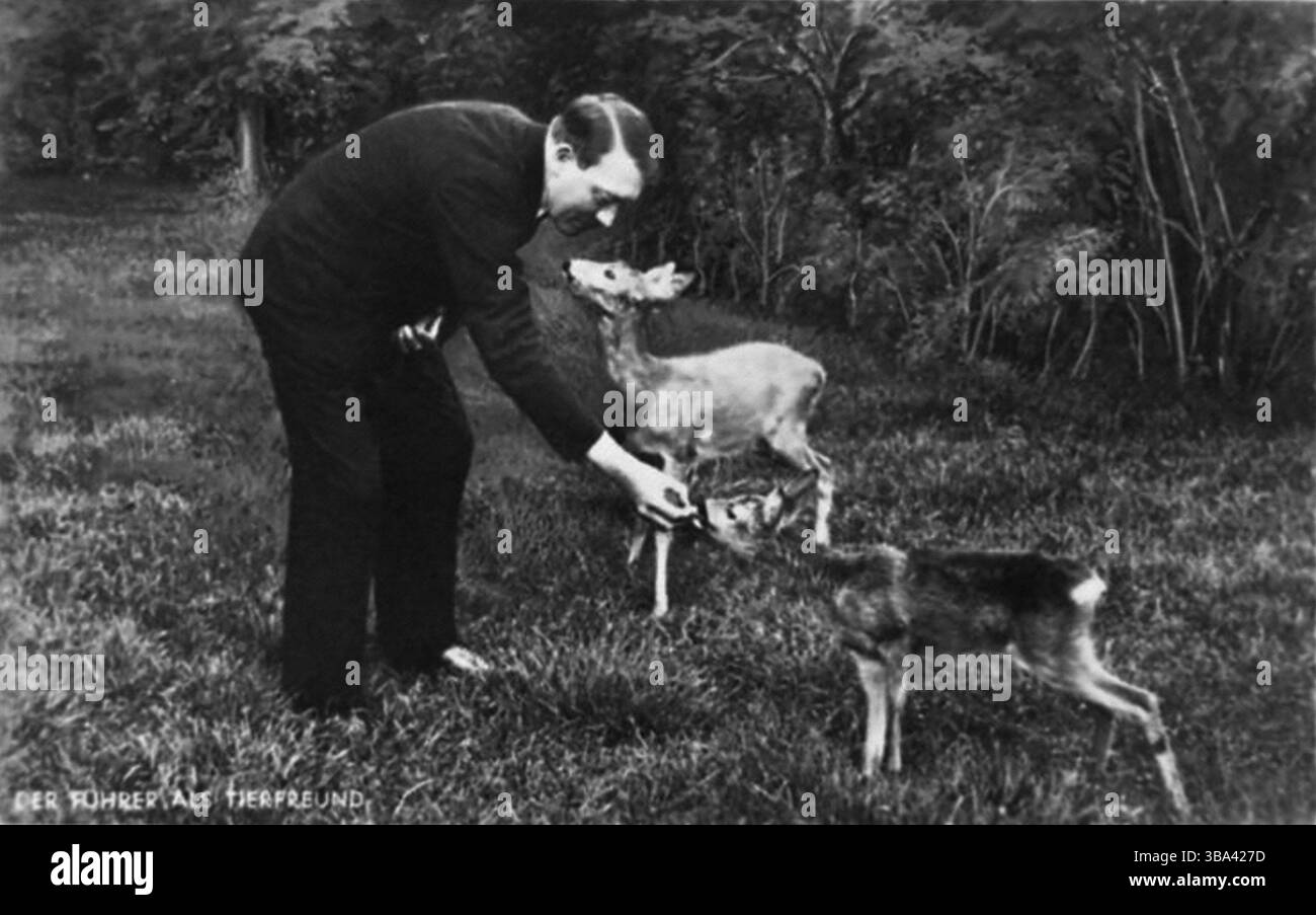 Adolf Hitler feeding deer from his hand - circa 1935 Stock Photo - Alamy