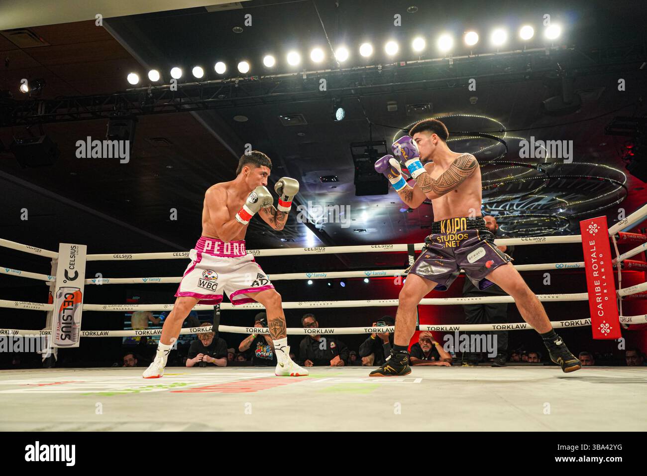 Orlando, Florida, USA, May 9, 2025, Kaipo Gallegos faces Pedro ...
