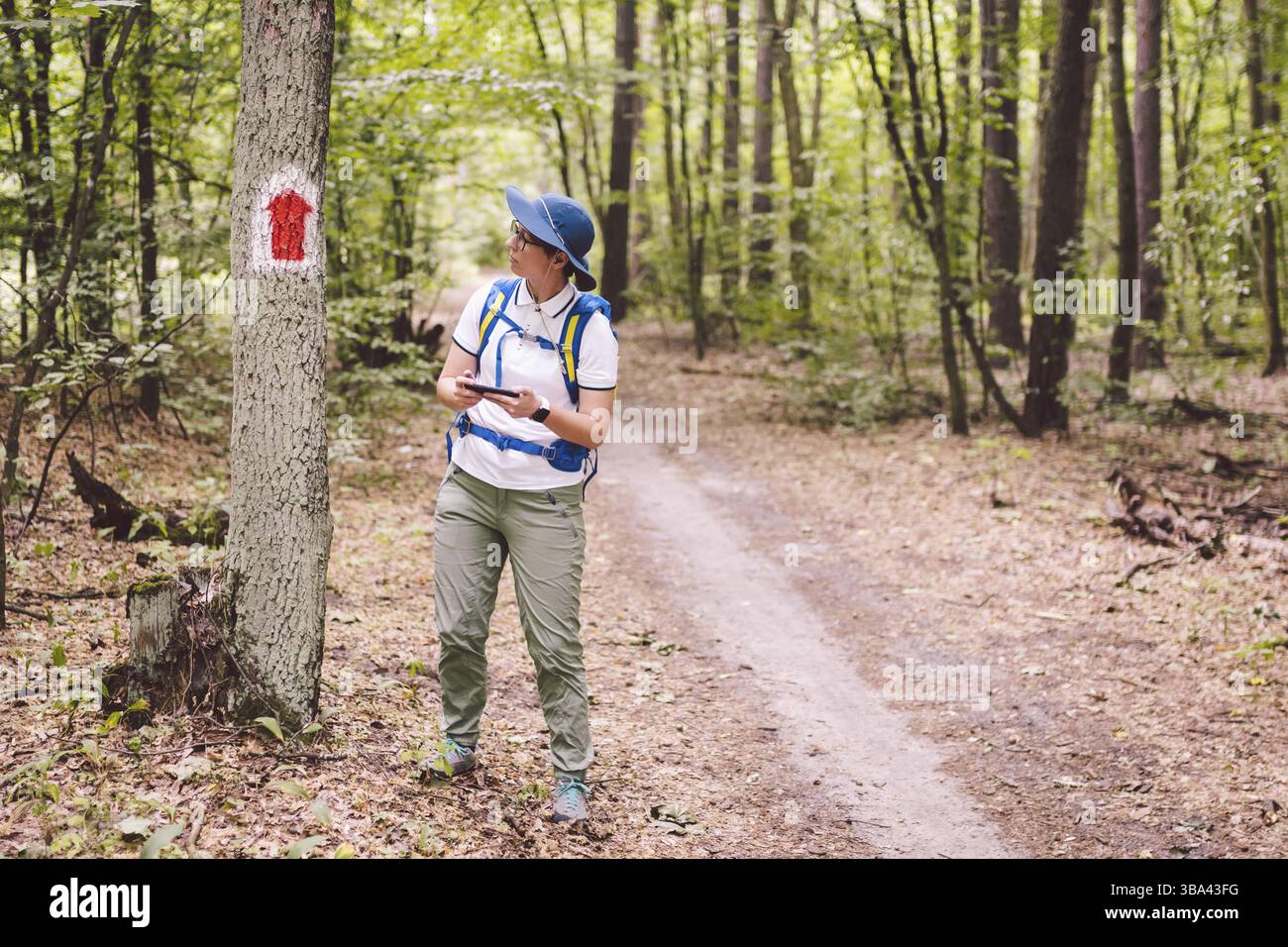 Hiking marked trail in the forest. Marking the tourist route painted on ...
