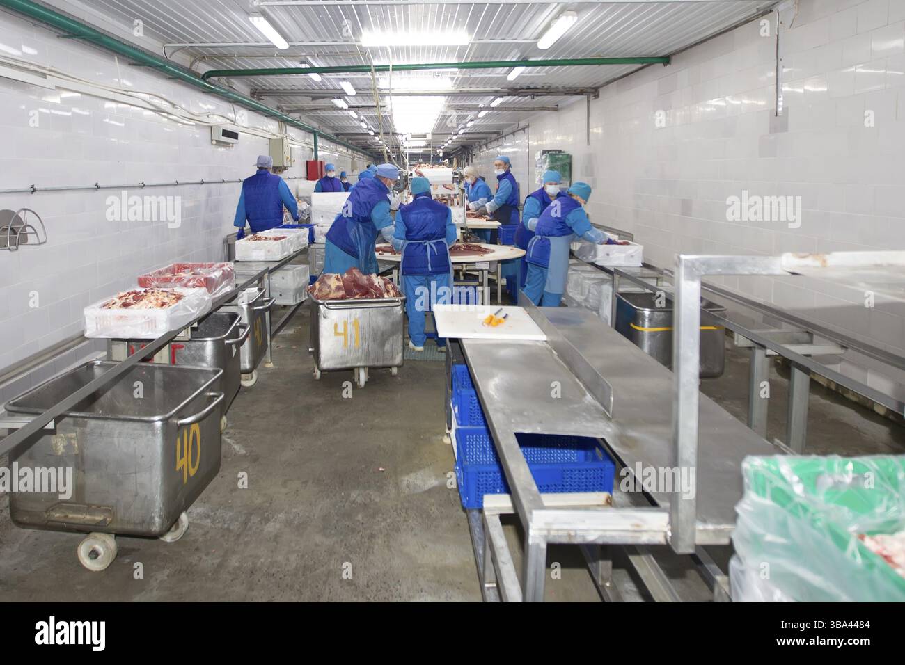 Belarus, Gomilsky district, 13 11 2020. Meat production. workers behind ...
